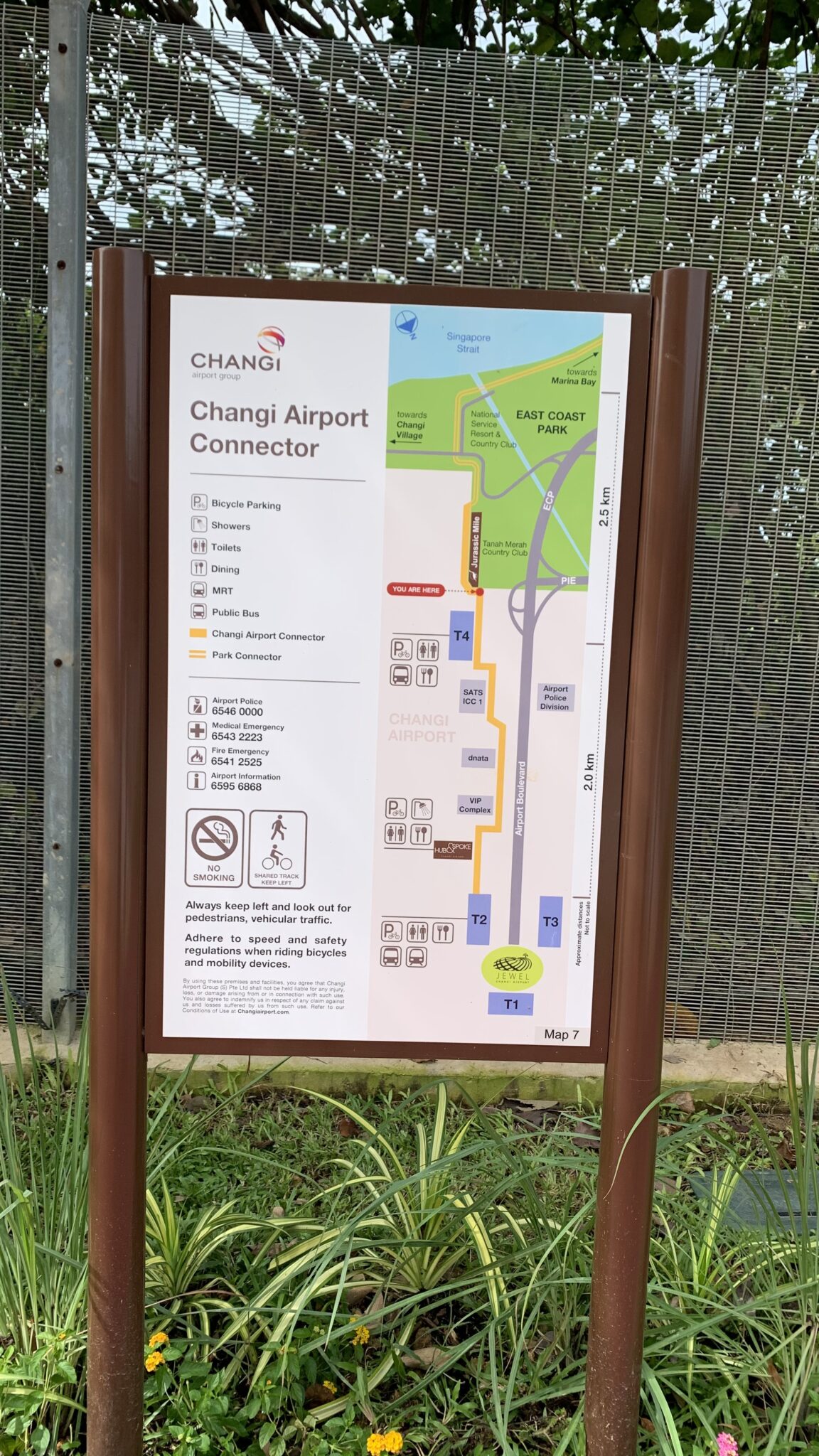Cycling Journey at Changi Jurassic Mile - tdmag.sg